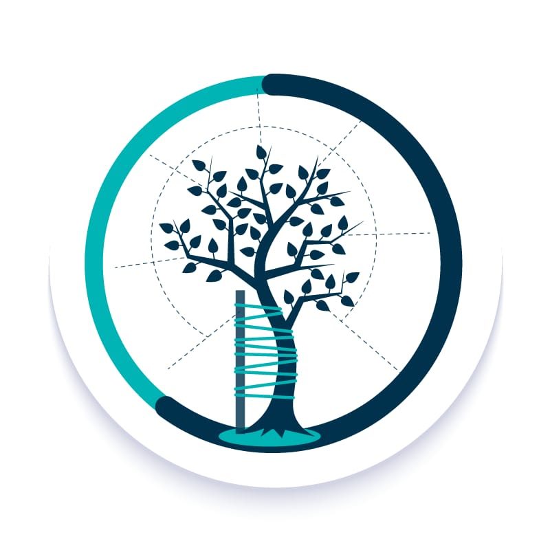 Hip Treatments - Mr J Agustin Soler, FRCS (Tr&Orth)